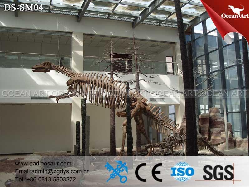 Life Size full real dinosaur skeleton replica for sale | Ocean Art Dinosaur