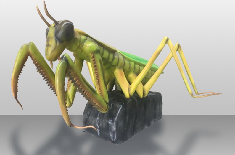 Simulation animal insect model, how to determine the quality? - Ocean ...