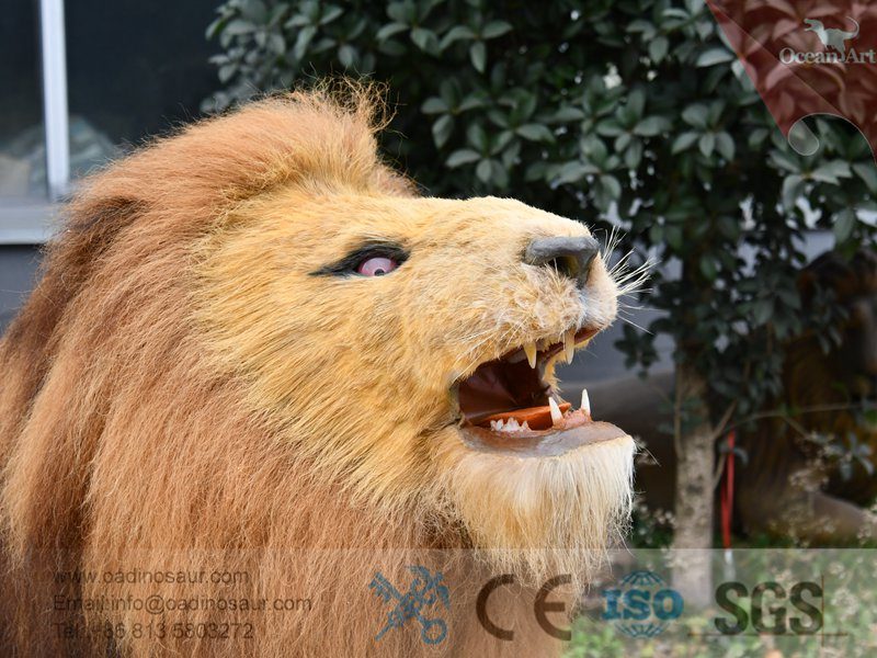 Realistic Lifesize Animatronic Lion - Ocean Art Dinosaur Manufacturer